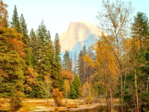Visiting Yosemite National Park: What To Expect Throughout The Year 2025