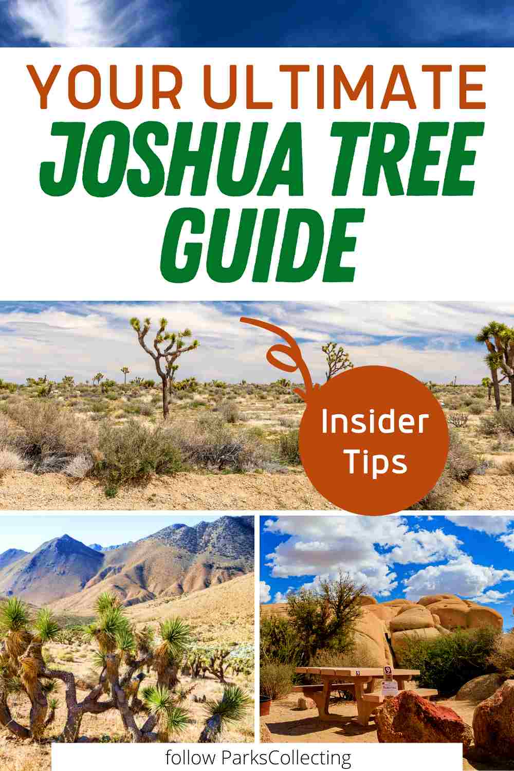 10 Tips For Visiting Joshua Tree National Park 2025