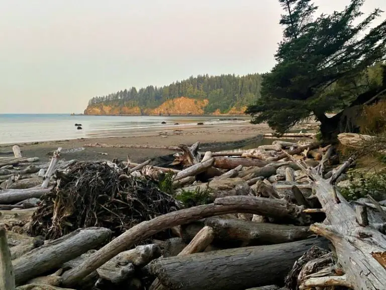 Third Beach, La Push: Complete Guide 2025