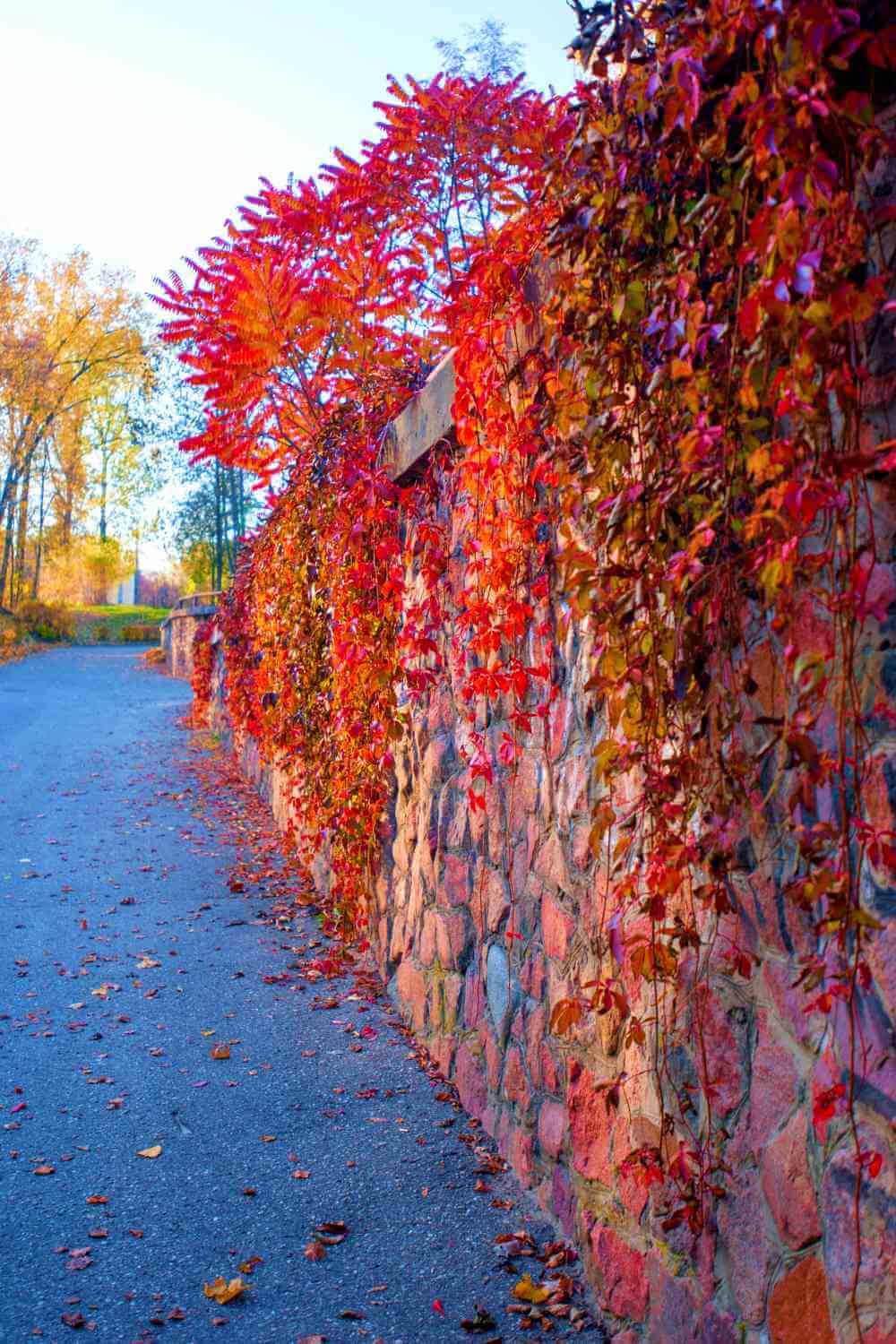 The Best Places To See Fall Colors In USA National And State Parks