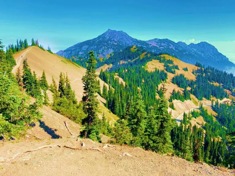 High Ridge Trail To Sunrise Point, Hurricane Ridge: Complete Guide