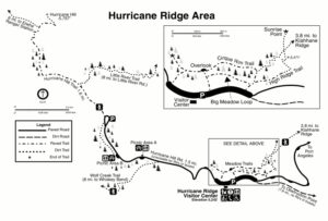 Visiting Hurricane Ridge, Olympic National Park: Complete Guide