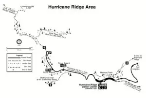 Hurricane Hill Trail Guide