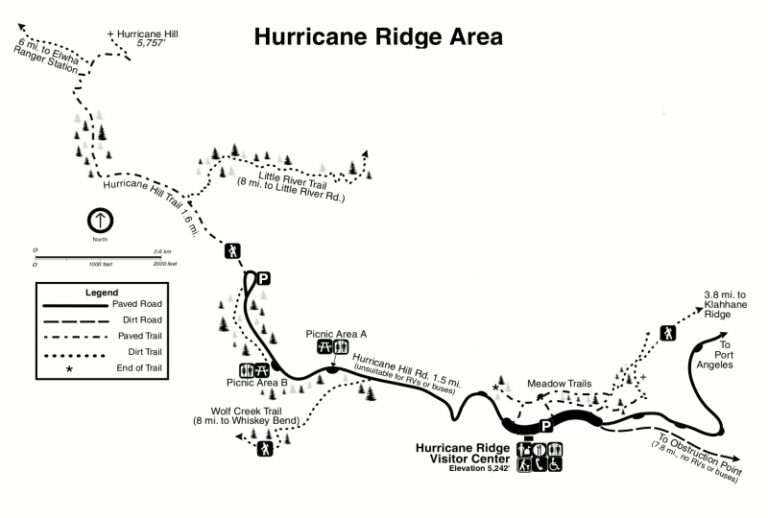 Hurricane Hill Trail Guide