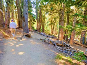 High Ridge Trail To Sunrise Point, Hurricane Ridge: Complete Guide