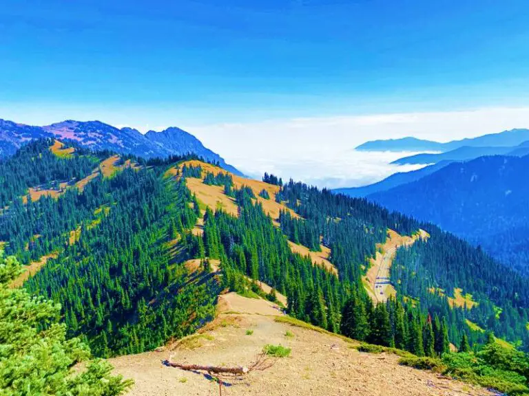 High Ridge Trail To Sunrise Point, Hurricane Ridge: Complete Guide